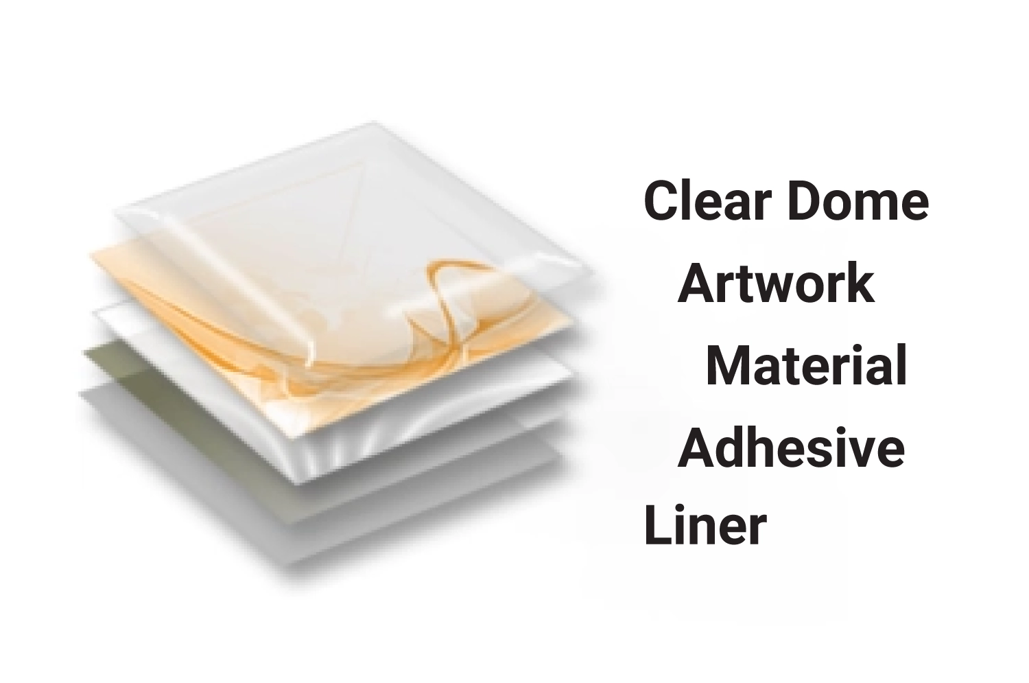 Exploring the Anatomy and Parts of a Label